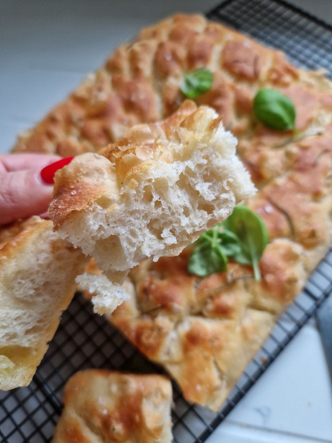 Rosemary foccacia bread - Mihaela's Recipes